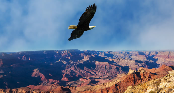 Getting High with Meditation: Elevate Your Mind Naturally